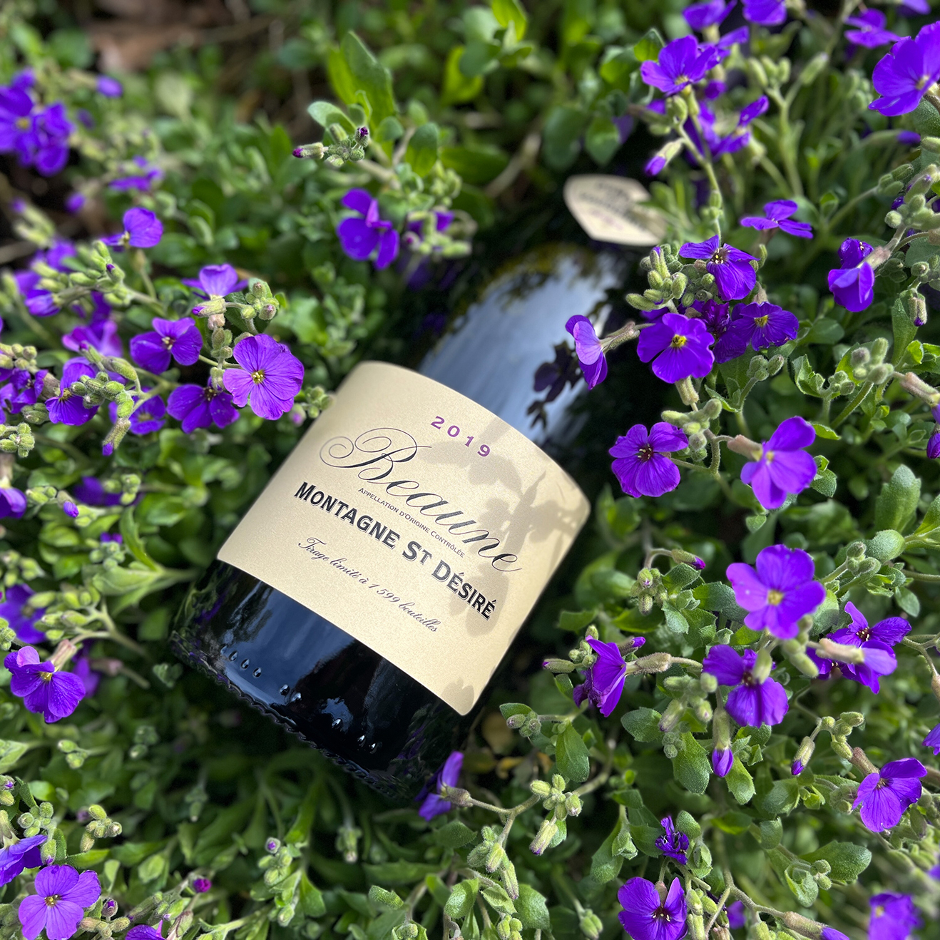 Domaine de la Vougeraie
